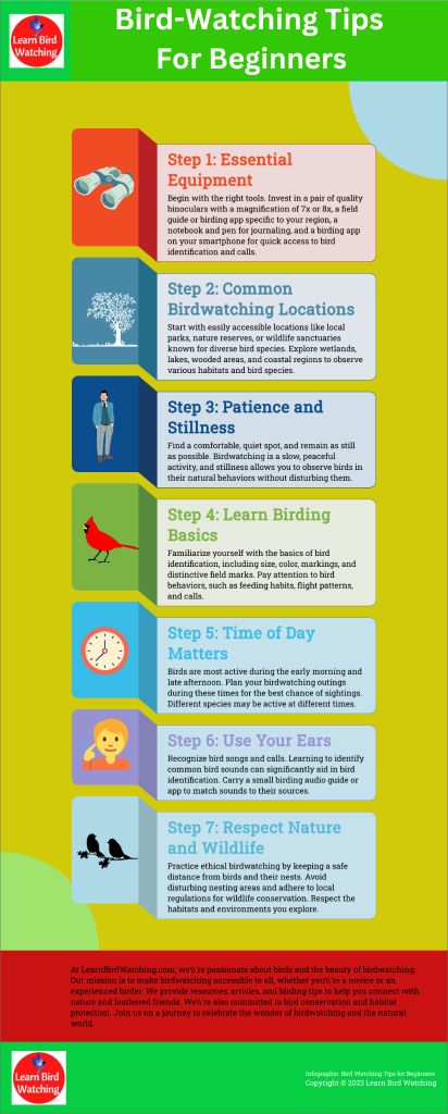 Best Birdwatching Tips For Beginners With Handy Checklist