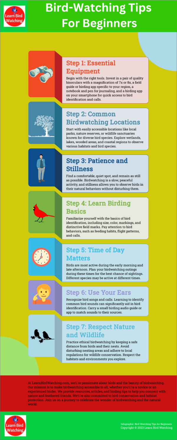 Best Birdwatching Tips For Beginners With Handy Checklist