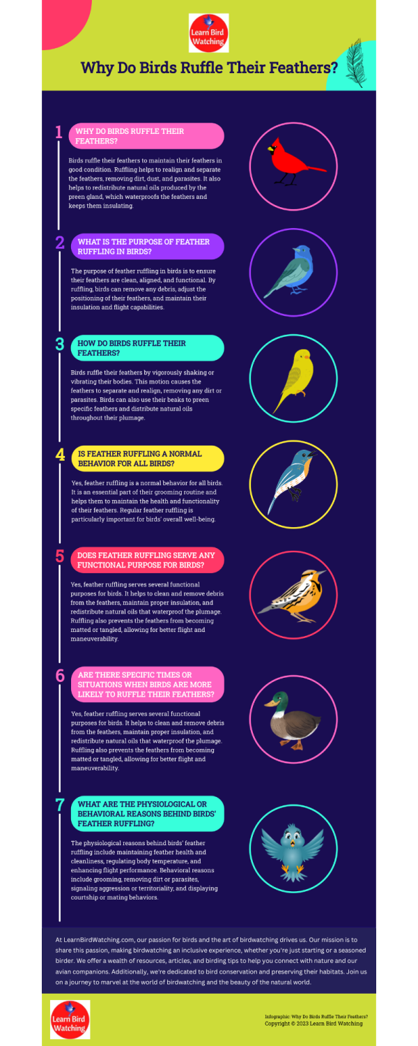 Why Do Birds Ruffle Their Feathers? (The Main Reasons!)