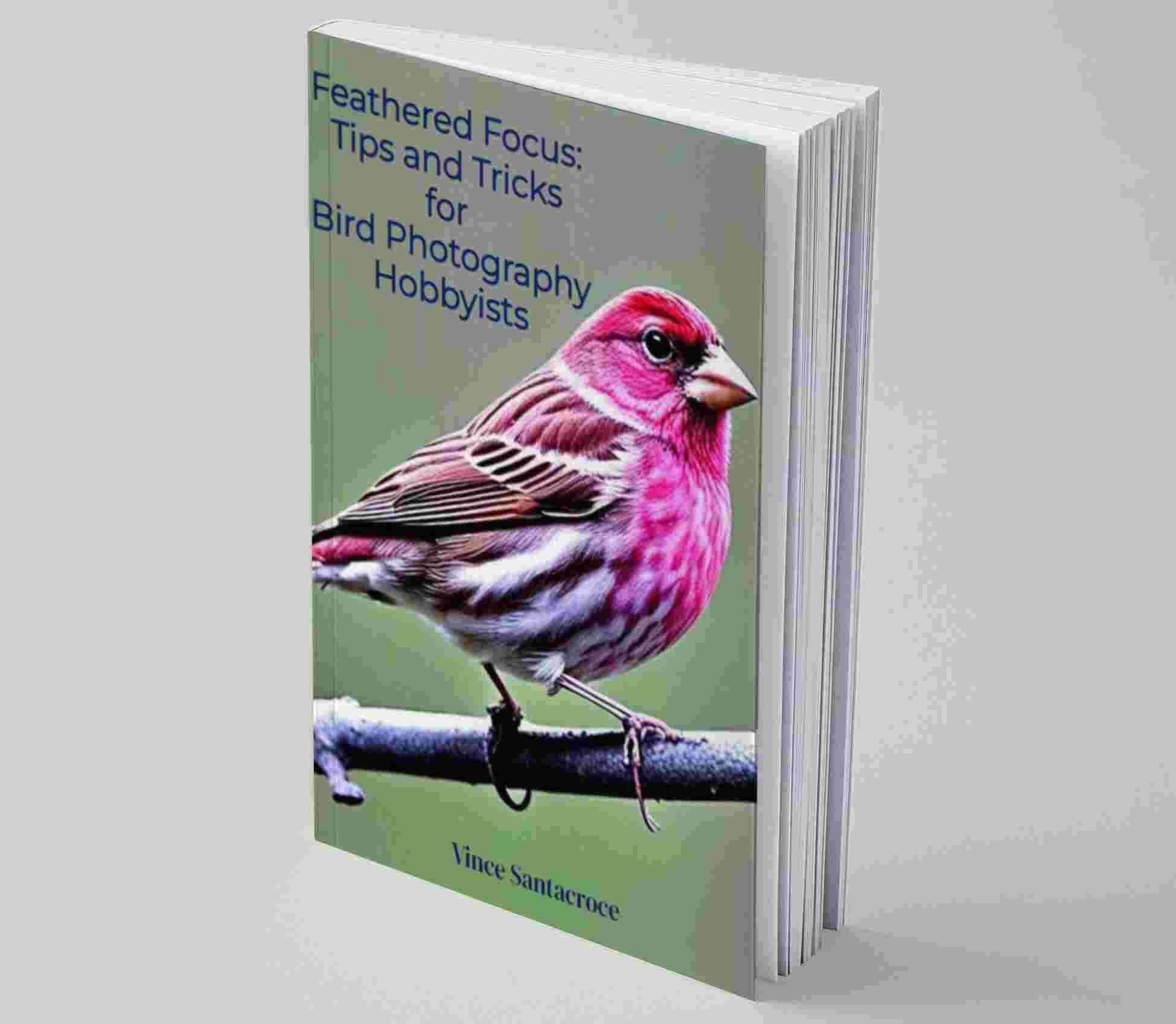 Feathered Focus: Tips and Tricks for Bird Photography Hobbyists | Learn ...