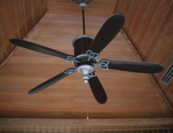 How to Keep Birds Off Ceiling Fans (Yes, Really)
